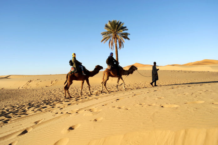 O noapte sub cerul desertului Sahara - Haihui în doi – Blog de ...
